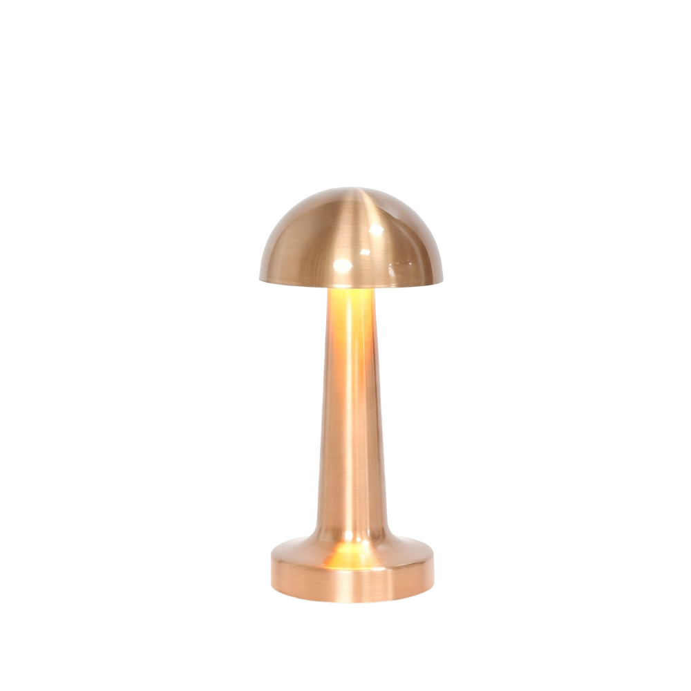 Rechargeable LED Table Lamp (Copper) - Sunnex Products Ltd.